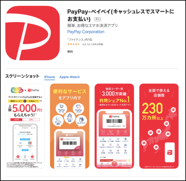 テスト環境でPayPayアプリを利用できますか？ – PayPay Developers FAQ